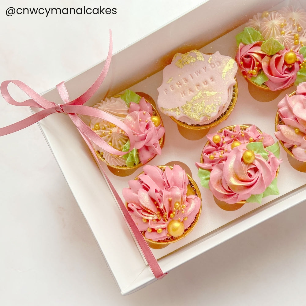 6 hole (2 PACK) FULL CLEAR LID cupcake boxes – Devlin Design Studio